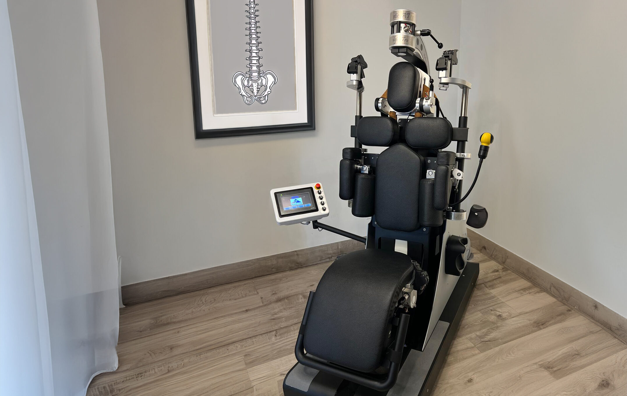 Chiropractor. Full body adjustment - Ageless Body Clinic